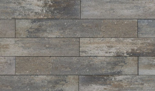 Arnts | Oaks Modan Wall