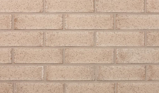 Arnts | Brampton Brick Contemporary Series Clay Brick