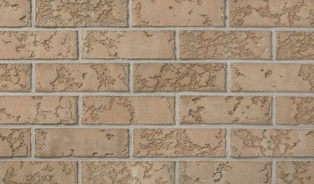 Arnts | Brampton Brick Legacy Series Clay Brick