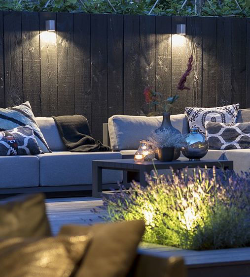 Arnts | In-Lite ACE DOWN