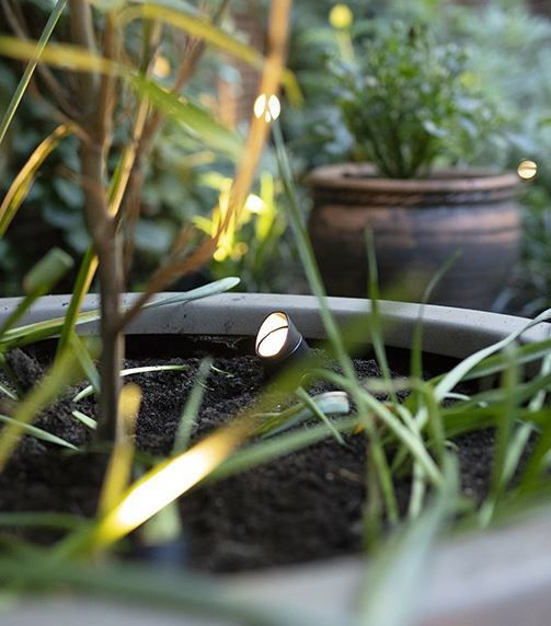 Arnts | In-Lite MINI SCOPE