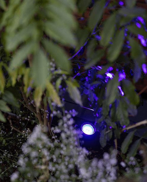 Arnts | In-Lite SMART SCOPE TONE