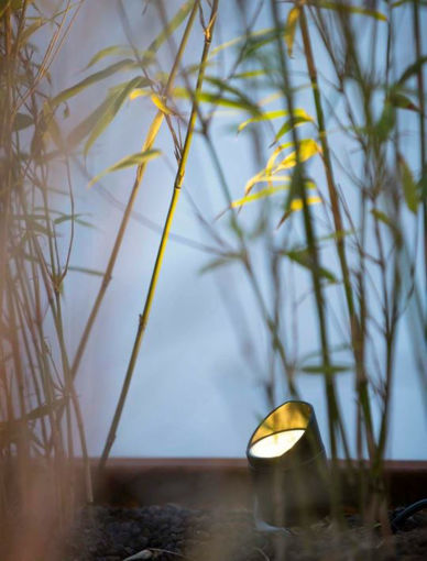 Arnts | In-Lite SHIELD 1 (MINI SCOPE)