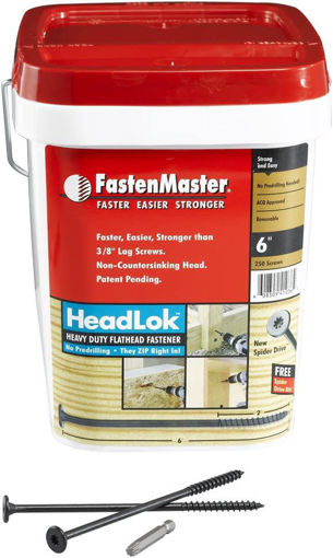 Arnts | FASTENMASTER HeadLOK Flathead