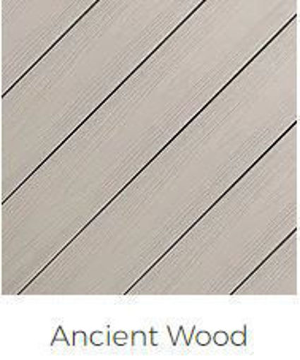 Arnts | DEXERA LifeMax Collection